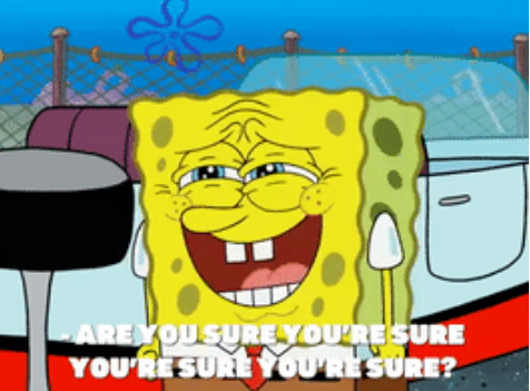 Are you sure? Are you sure you are sure? – The Chronicles of a Human Being